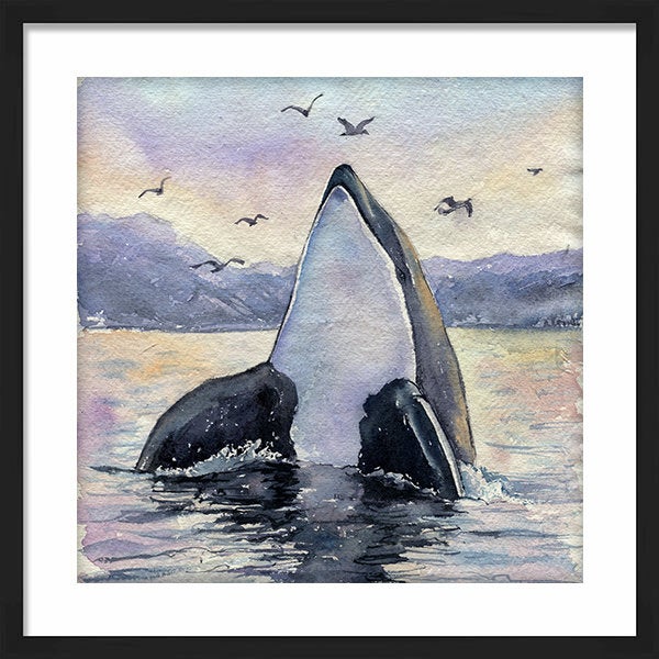 Freya Orca Killer Whale Art Print - Elena Markelova Art